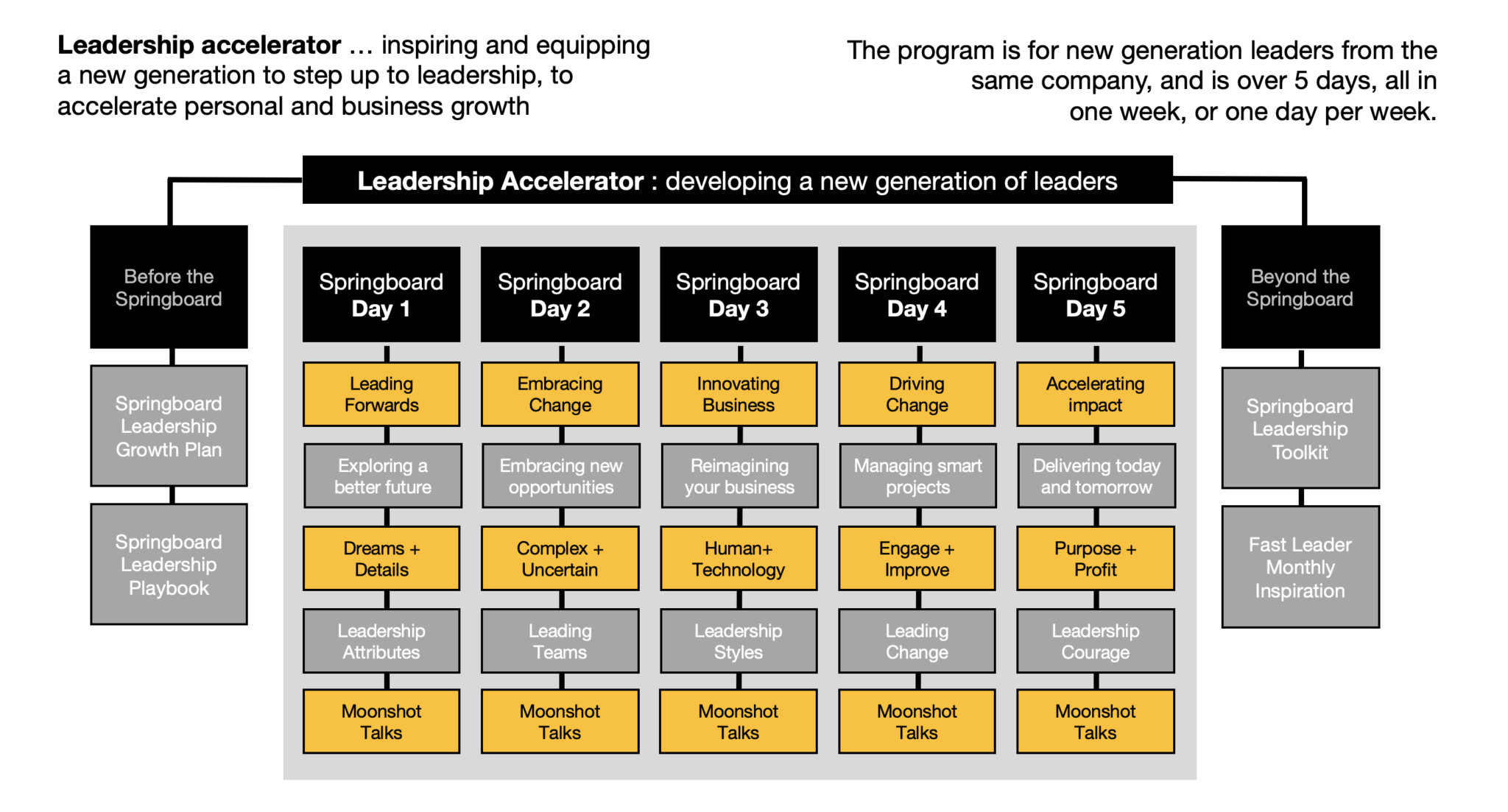 SPRINGBOARD Leadership Accelerator - Peter Fisk