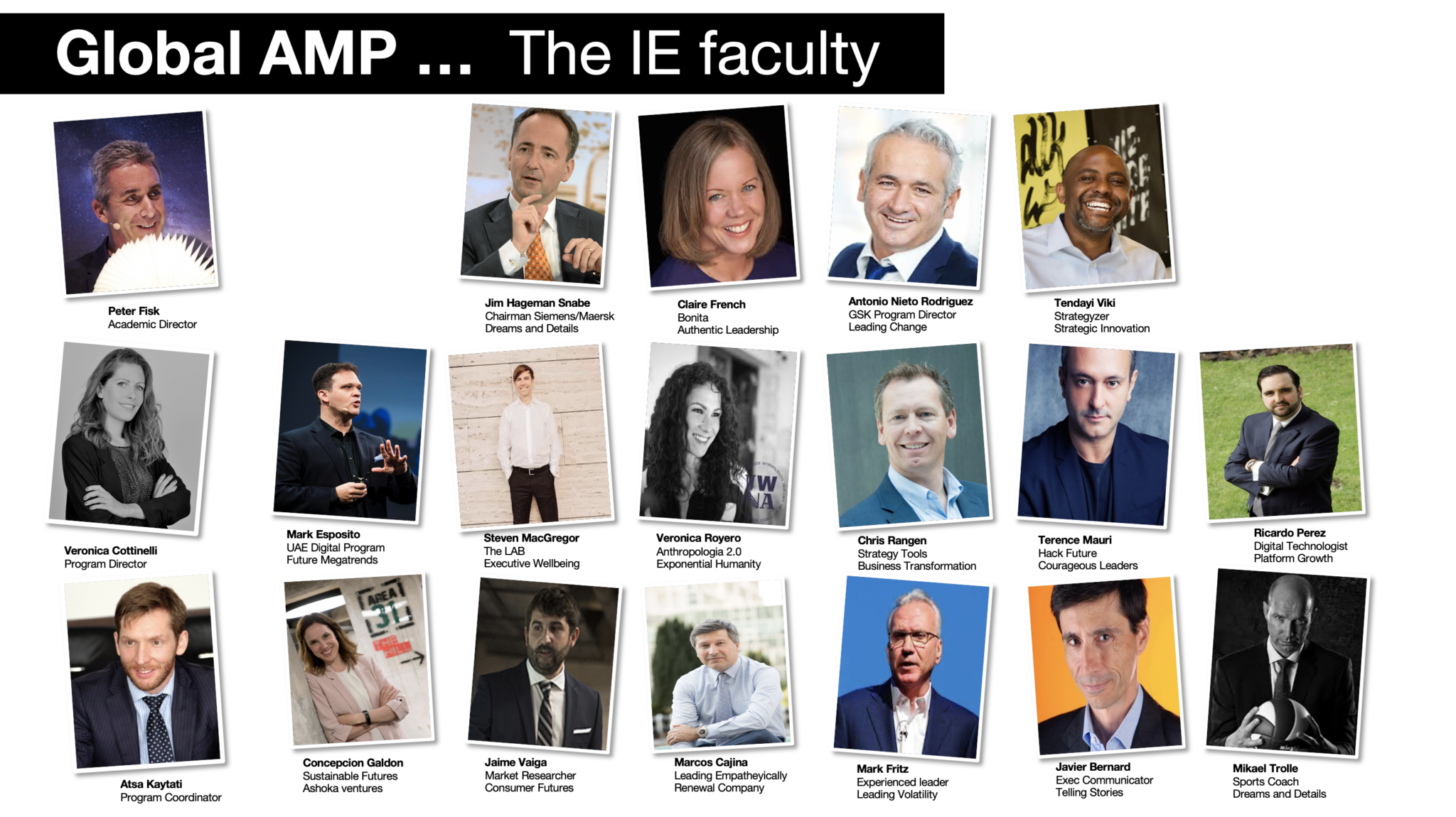 Accelerating Growth at Global AMP, IE Business School - Peter Fisk