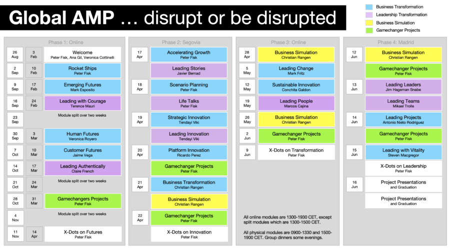Gamechanger Project Lab - Peter Fisk