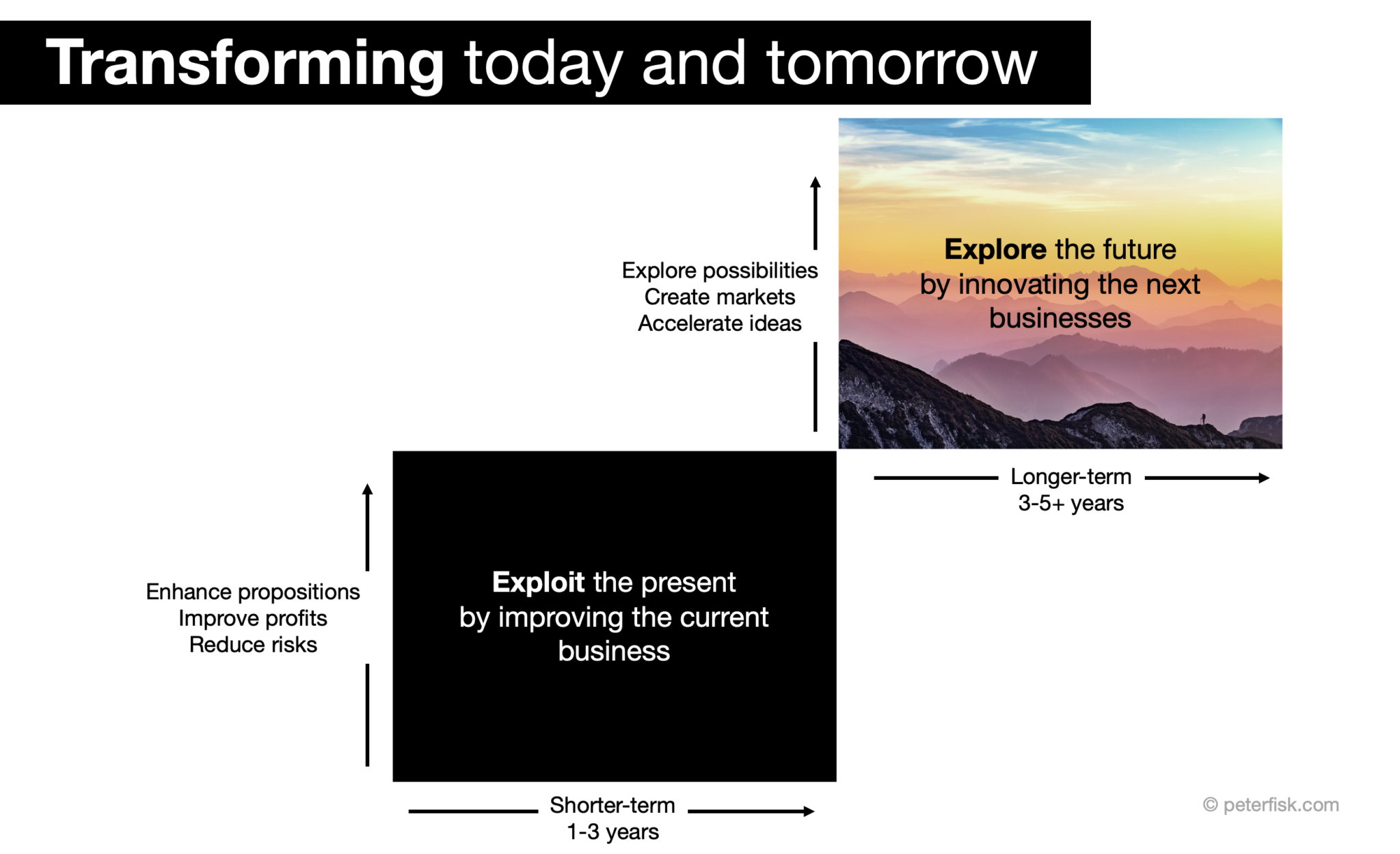 Infinite and invincible ... building a "growth portfolio" that drives ...